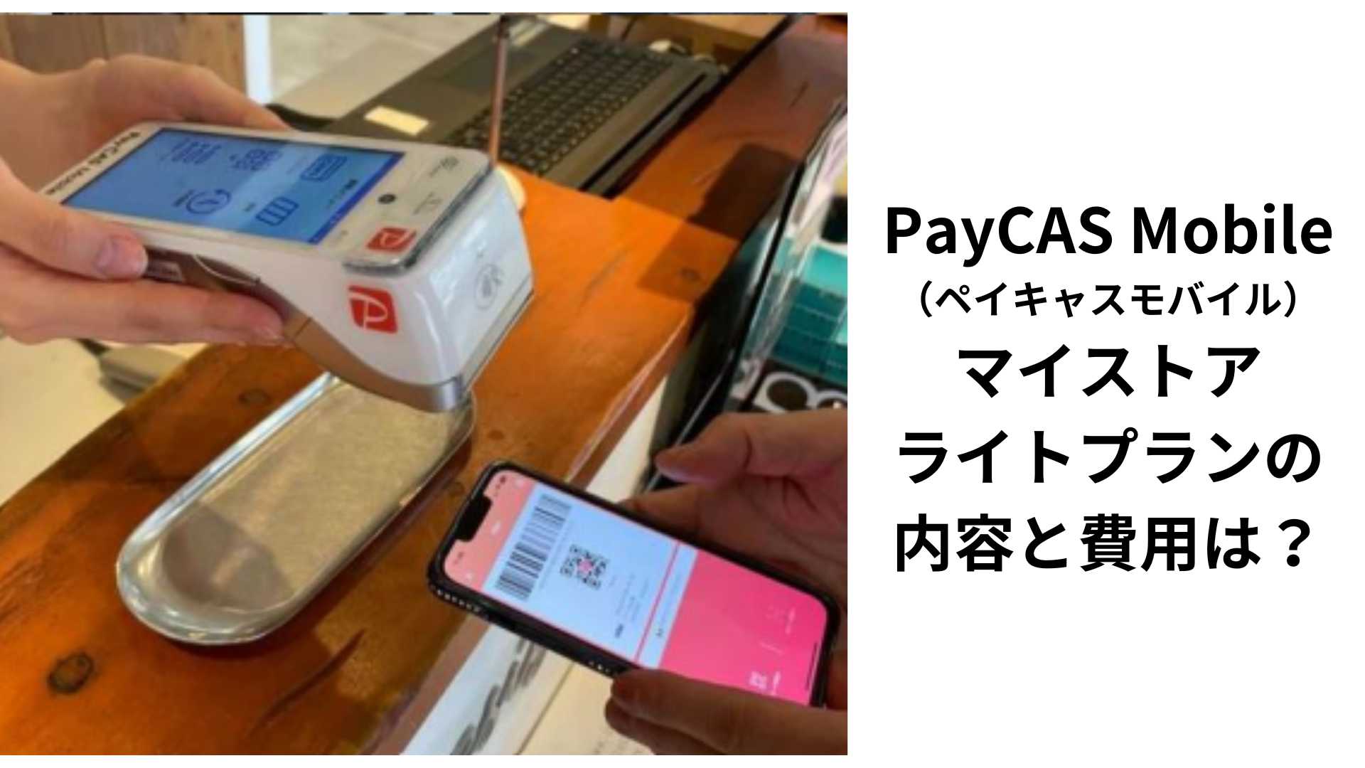 PayCAS Mobile（ペイキャスモバイル）のマイストアライトプランの内容と費用を解説！ - お店のキャッシュレス決済端末の情報サイト